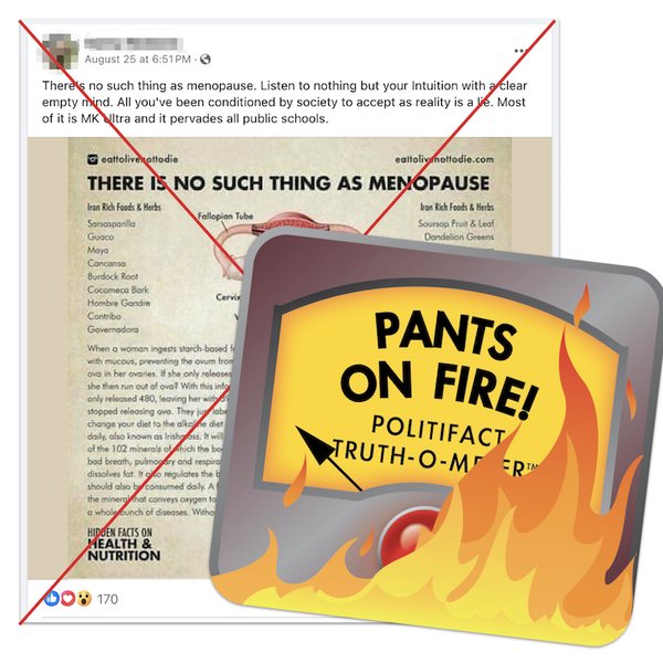 allison pearson menopause