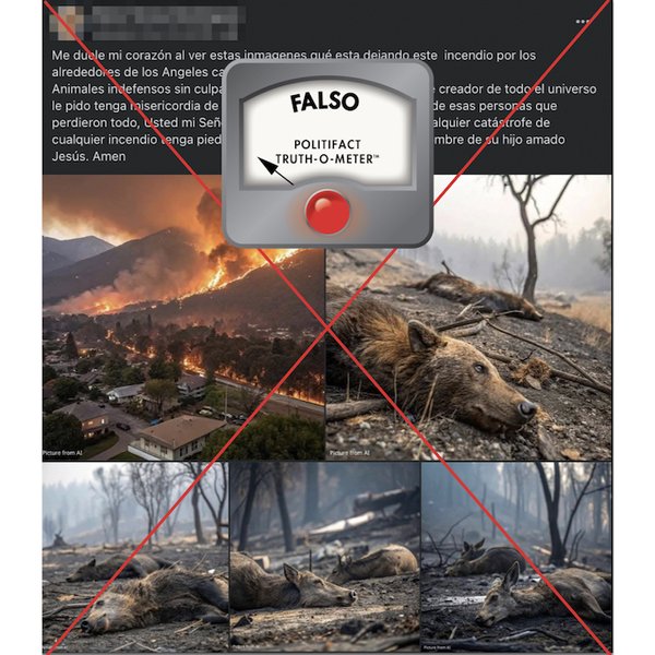 PolitiFact | Estas fotos de animales heridos en los incendios de Los ... PolitiFact | Estas fotos de animales heridos en los incendios de Los ...