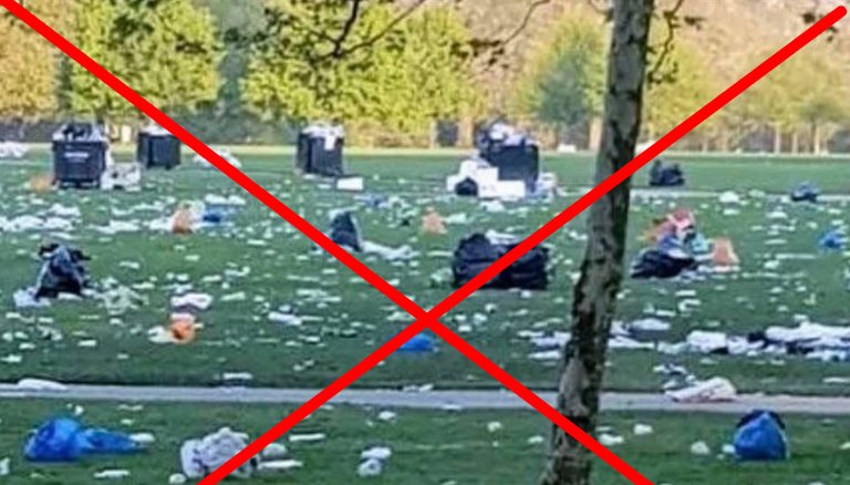 PolitiFact | This photo doesn’t show trash left by climate strike ...