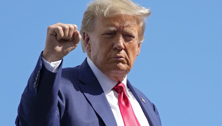 PolitiFact | Fact-check: Trump’s bogus claim on Fox News that ballots ...